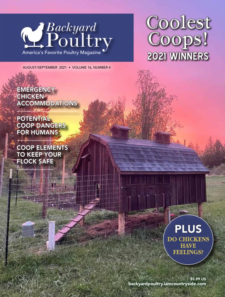 Backyard Poultry — August/September 2021 - Backyard Poultry